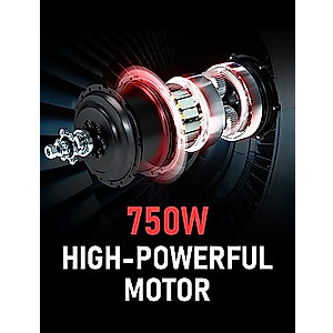 Hipeak Bona Electric Bike for Adults, Ebike 750W/48V/15Ah, 20" x 4.0" Fat Tire Electric Bike Folding with Removable Battery, Step-Over Folding Adult Electric Bicycles Front Shock Absorber