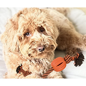 ALLUM Interactive Dog Toy Bundle – Durable Dog Chew Toys for Puppies, Medium & Large Breeds, Tug of War Dog Toys, Teething Toys for Puppies – Enrichment Dog Toys for Aggressive Chewers