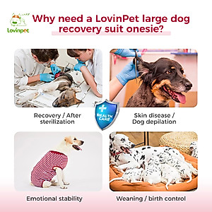 LovinPet Recovery Shirt - Full Coverage Dog's Bodysuit Wound Protective Surgical,E-Collar Alternative Recovery Snugly Suit for Abdominal Wounds After Surgery Anti-Licking Dog Onesies,Short Legs,XL