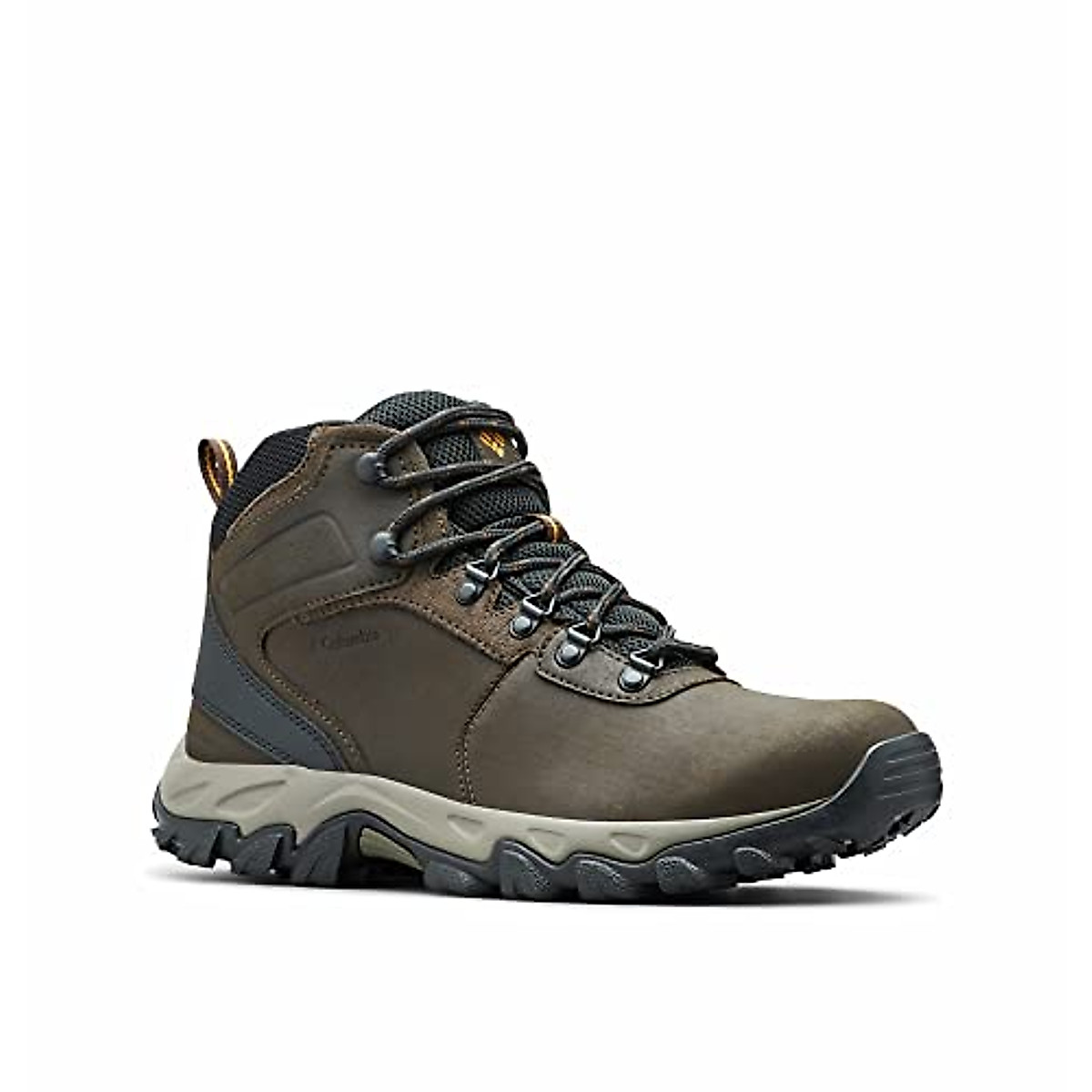 Columbia mens Newton Ridge Plus Ii Waterproof Hiking Boot, Cordovan/Squash, 10 US