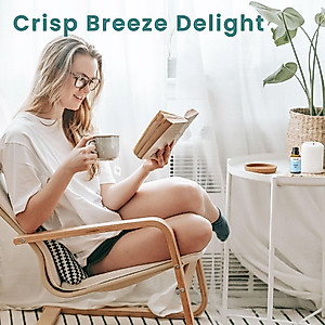 Clean Air Fragrance Oil - ESSLUX Aromatherapy Essential Scented Oils for Diffuser, Massage, Soap, Candle Making Scents, Perfume, Home Fragrance, 30 ml