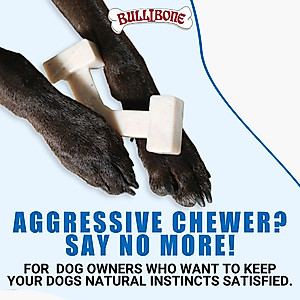 Bullibone All Stars XL Bundle - Improves Dental Hygiene, Easy to Grip Bottom, Four Delicious Flavors