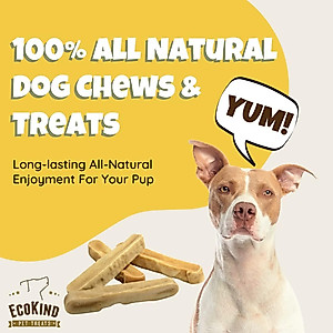 EcoKind Himalayan Gold Yak Cheese Dog Chew for Large Dogs, Healthy Dog Treats, Odorless, Long Lasting Dog Bones for Dogs, Rawhide Free, Made in The Himalayans, Large (Pack of 1)