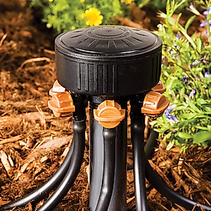 DIG AD6 6 Outlet Adjustable Manifold on 1/2" FPT Drip Water Connection, Black, Brown