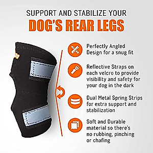 NeoAlly Super Supportive Dog Braces for Rear Leg and Hock Joint with Dual Metal Spring Strips Stabilize Canine hind Legs from Wound, Injury, Sprains, Arthritis (XL Pair)