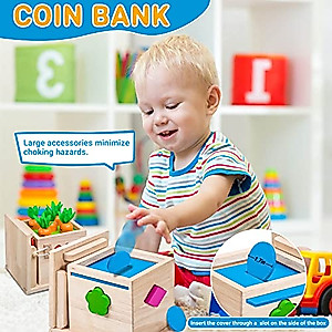 6-in-1 Wooden Play Kit Montessori Toy, Object Permanence Box, Coin Box, Carrot Harvest, Catch Worm, Shape Sorter - Toddler Learning Toy for Kid Age 1, 2, 3 Year Old, Girl boy Gift for Baby 6-12 Month