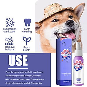 Petry Oral Spray - Petry Teeth Cleaning Spray for Dogs & Cats, Pet Breath Freshener Spray Care Cleaner, Pet Bad Breath Treatment (1 Pc)