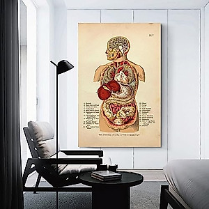 Internal Organs Of The Human Body From The Household Physician Canvas Wall Art Print Poster For Home School Office Decor Unframe 12x18inch(30x45cm)