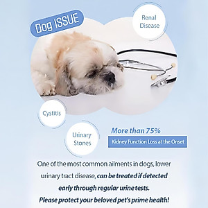 Ruord ScratchMe Super-Absorbent Waterproof Dog and Puppy Pet Training Pad, Housebreaking Pet Pad, 25-Count Large-Size,