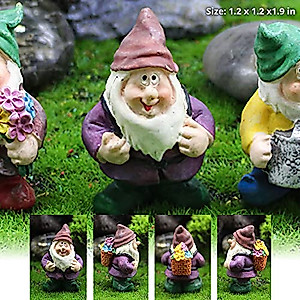 PEATOP Fairy Garden Accessories,Miniature Gnome Figurines Set of 7, Garden Gnome Figurines for Plant Pots Decor, Home Decoration,Fairy Garden