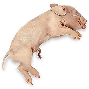 Perfect Solution Preserved Pig, Plain, 1/Bag, 5-7 in