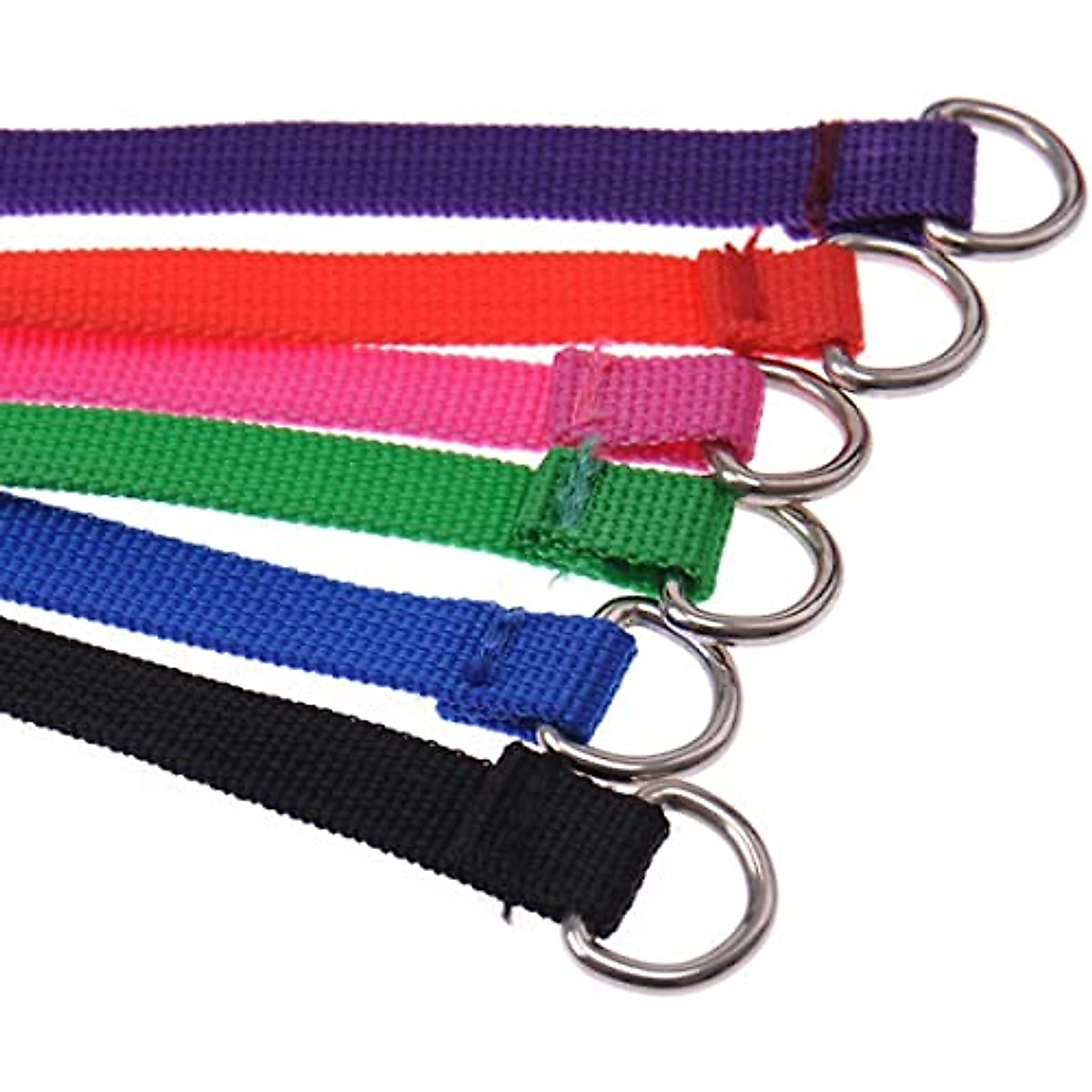 6 Pcs Bulk Pack Slip Leads Dog Pet Grooming Kennel Small Animal Control Shelter Lead Leash