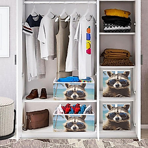YMGQYJ Collapsible Storage Cube Beach Raccoon Print, Organizing Baskets with Reinforced Board for Shelf Closet Cabinet 11×11×11 in