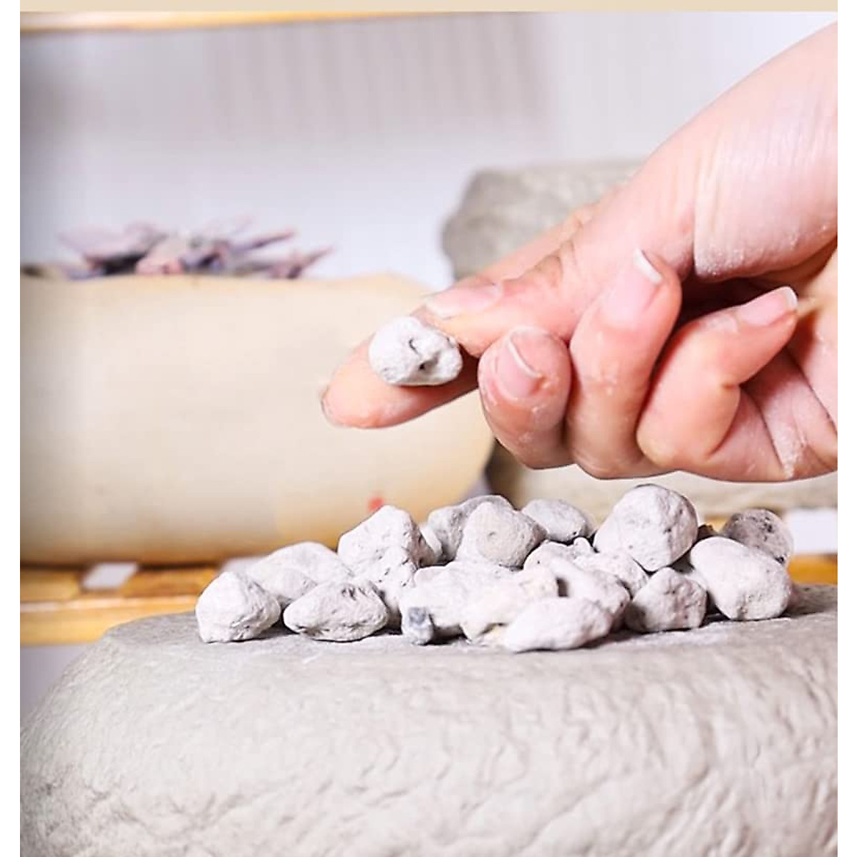 Horticultural Pumice for Plants by Doter 1 QT, Soil Amendment for Bonsai and Cactus Plants