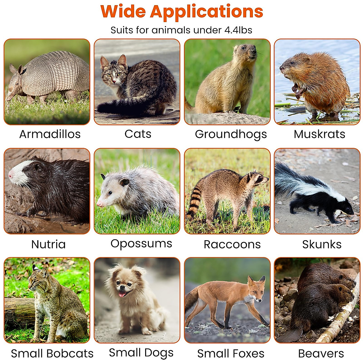 Moclever Live Animal Cage Trap Humane Cat Trap Cage Catch Release Live Animal Rodent Cage Collapsible Galvanized Wire for Rabbits, Stray Cat, Raccoon, Groundhogs, Mole,Gopher,Opossum-30.5X11.81X11 in