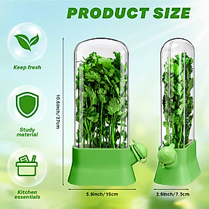Baderke 2 Pieces Herb Saver for Refrigerator Herb Keeper Herb Storage Containers Herb Saver Pod for Cilantro, Parsley, Asparagus, Keeps Vegetables for 2-3 Weeks (Green)