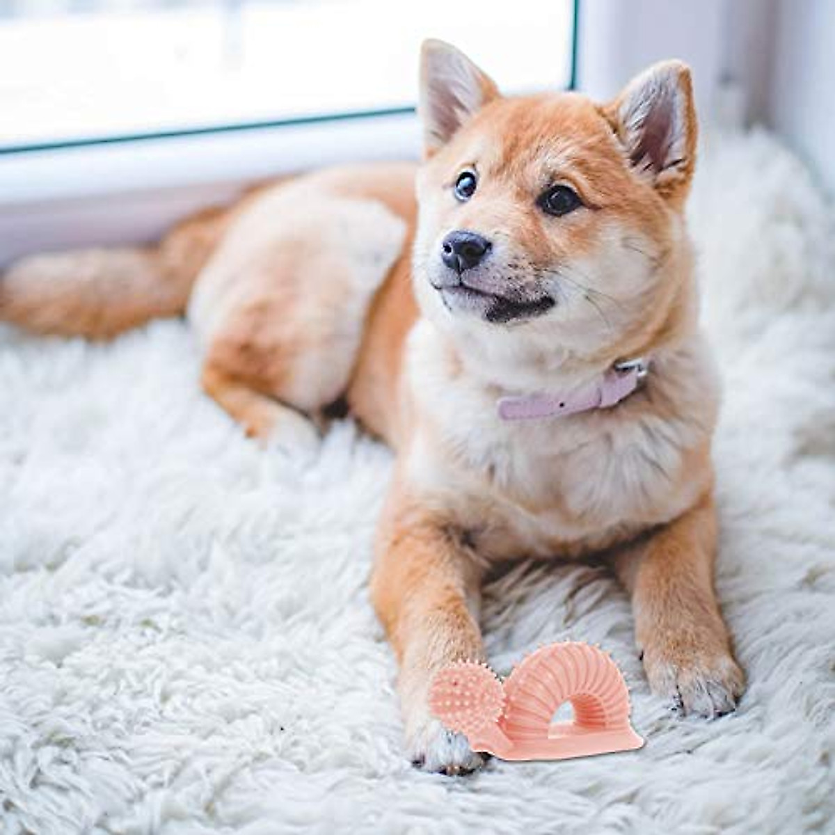 pet Teething Toys Dog Teeth Cleaning Toy Puzzle Toys Puppies Toys Dog Molar Toy Puppy Dog Toothbrush Toy Dog Dental Care Toy Dog Teeth Grinding Toy Missing Food TPR Indestructible