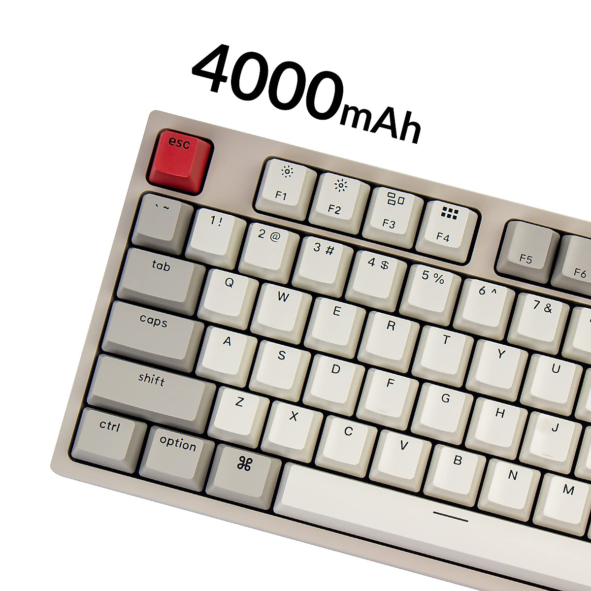 Keychron C1 Hot-swappable Wired Mechanical Keyboard for Mac Layout, Keychron Mechanical Blue Switch/USB Type-C Cable/Double-Shot ABS Keycaps Tenkeyless 87 Keys Computer Keyboard for Windows PC