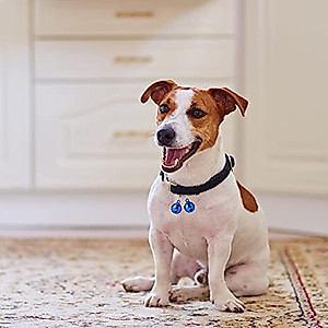 Molain 10 Pcs Cat Dog Collar Bells, Jingle Bell for Cat Collar,Dog Collar Charms,Colourful Pet Small Bells with Clasps Collar Accessories,Festival Party DIY Crafts Decoration