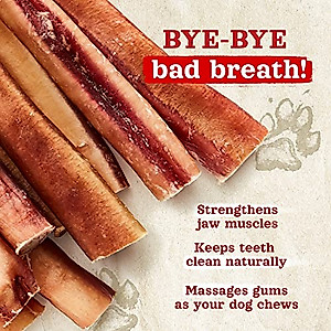 Natural Farm Jumbo Bully Sticks (6 Inch, 4 Pack), Odor Free, Extra-Thick Dog Chews - Fully Digestible 100% Beef Treats, Supports Dental Health, Keep Your Dog Busy with 50% Longer Lasting Chews