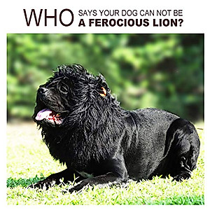 Onmygogo Lion Mane Wig for Dogs with Ears, Funny Pet Costumes for Halloween Christmas (Size L, Black)