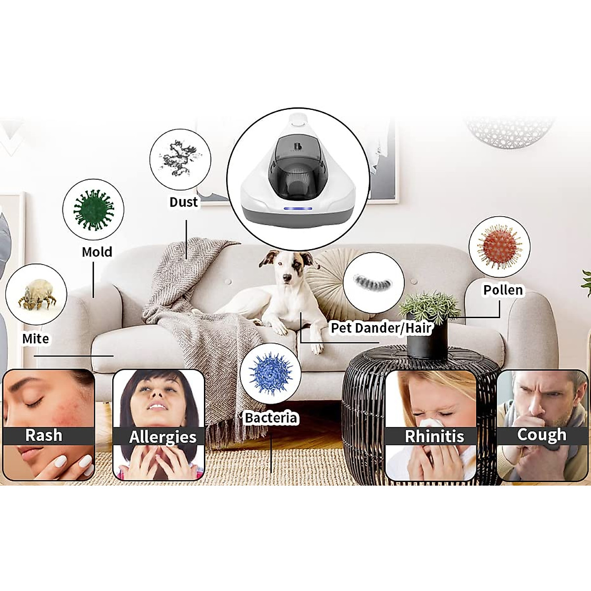 Boreas Handheld Allergen Vacuum Cleaner UV Bed Vacuum, Mattress Vacuum Cleaner, Large Pulsating Pad, True HEPA Filter, Removes Dander, Hair, Dust, Pollen, for Allergies, Pets | Bedding, Sofa, AP002