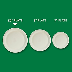 Hefty ECOSAVE Compostable Paper Plates, 10-1/8 Inch, 45 Count