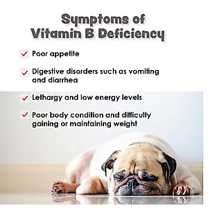 CobalaVet Vitamin B12 & B9 for Small Dogs & Cats - Supports The Nervous System, Brain Function, Immune Defenses & Cell Growth - Blood Cell Formation - Metabolic Pathway - 60 Soft Chews