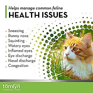 Tomlyn Immune Support Daily L-Lysine Supplement, Fish-Flavored Lysine Chews for Cats and Kittens, 30ct