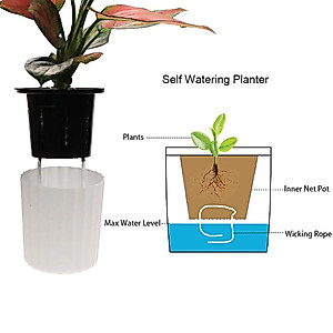 MUZHI Orchid Pot with Net and Holes, Round Self Watering Planter Pot for Indoor Plants and Flowers 3 Sets White