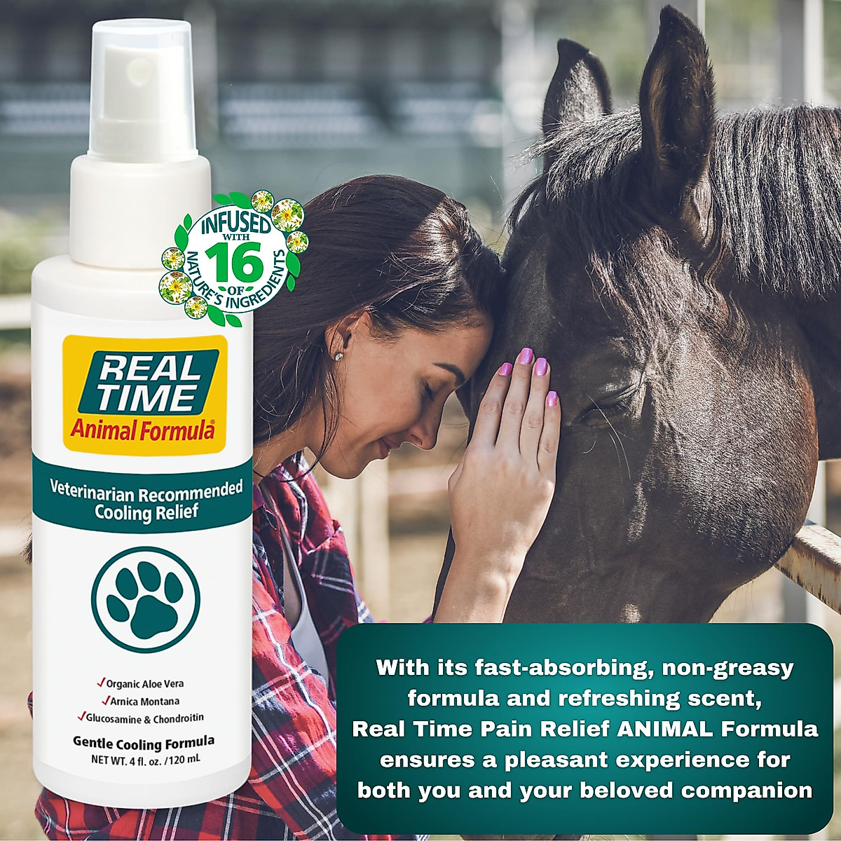 Real Time Pain Relief Pet Formula - 4oz Spray Bottle | Vet Recommended Relief for Pets | 16 Natural Ingredients Including Menthol, Aloe Vera, and Arnica | Gentle Cooling Sensation | Easy Application