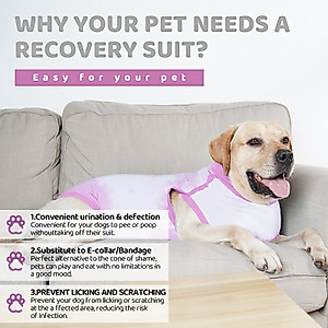 KOESON Dog Recovery Suit, Tie Dye Dog Surgical Recovery Suit for Abdominal Wounds, Anti Licking Dog Onesie Cone Alternative After Surgery, Dog Surgery Recovery Shirt for Medium Large Dogs Pink XXXL