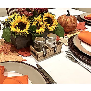 Mason Jar Salt and Pepper Shakers Set with Wood Caddy, Easy to Clean & Refill for Farmhouse Kitchen Table, Rustic Home Decor and Gifts