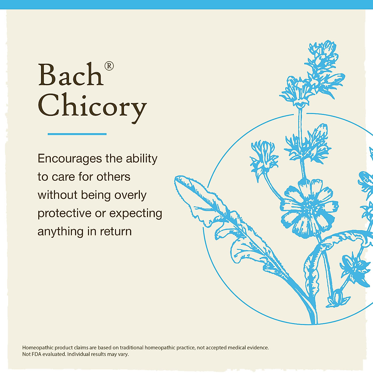 Bach Original Flower Remedies, Chicory for Unconditional Love, Natural Homeopathic Flower Essence, Holistic Wellness and Stress Relief, Vegan, 20mL Dropper