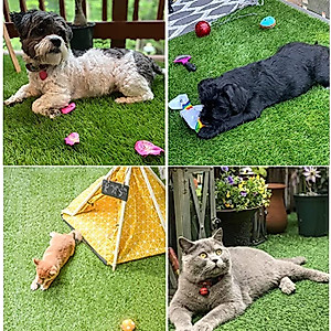 SSRIVER Dog Grass Pad,51.1x31.8In Fake Grass for Dogs,Artificial Grass Pee Pad for Puppies Potty Training Indoor Outdoor