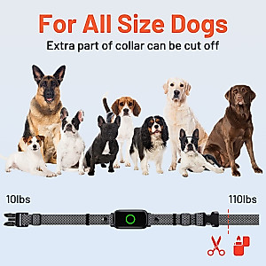 Dog Training Collar with Remote 3300ft Range Waterproof Rechargeable Electric Collar for Small Medium Large Dogs