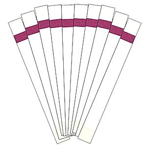 QuantiQuik L-Glutamate Quick Test Strips (10 Strips)