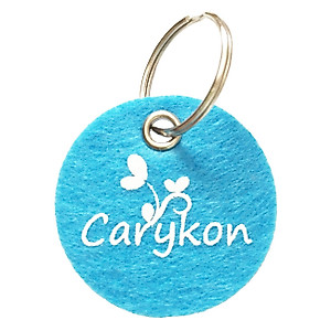 Carykon 20 PCS Women DIY Satin Fabric Covered Ribbon Headbands 5mm Width, Mixed Color.