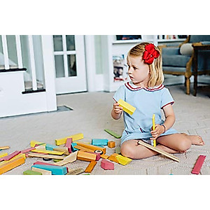 Tegu 14 Piece Magnetic Wooden Block Set in Tints