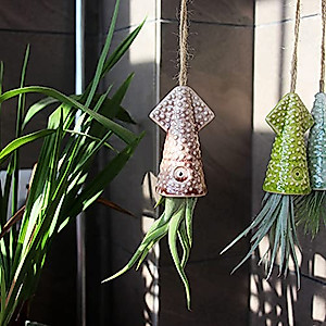 Mimeela 4 Pack Air Plant Holder Unique, Cute Squid Air Plant Hanger Wall Planter, Ceramic Tillandsia Airplants Holders Hanging Wall Decor for Home Office (Squid-Small (1.6 x 3.6 in))