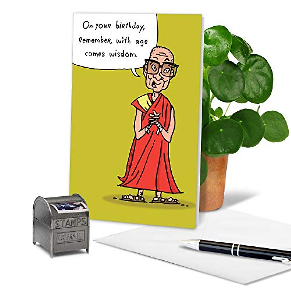 Nobleworks Funny Happy Birthday Note Card with Envelope (4.63 x 6.75 Inch) Age Wisdom 8576 (1 Card)