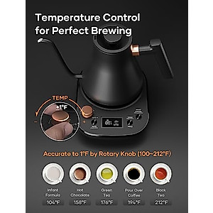 INTASTING Electric Kettle, Electric Tea Kettle with LCD Display, ±1℉ Temperature Control Gooseneck Electric Kettle, Auto Shut-Off/Keep Warm/Brew Timer, Quick Heating Hot Water Kettle Electric, 0.9L