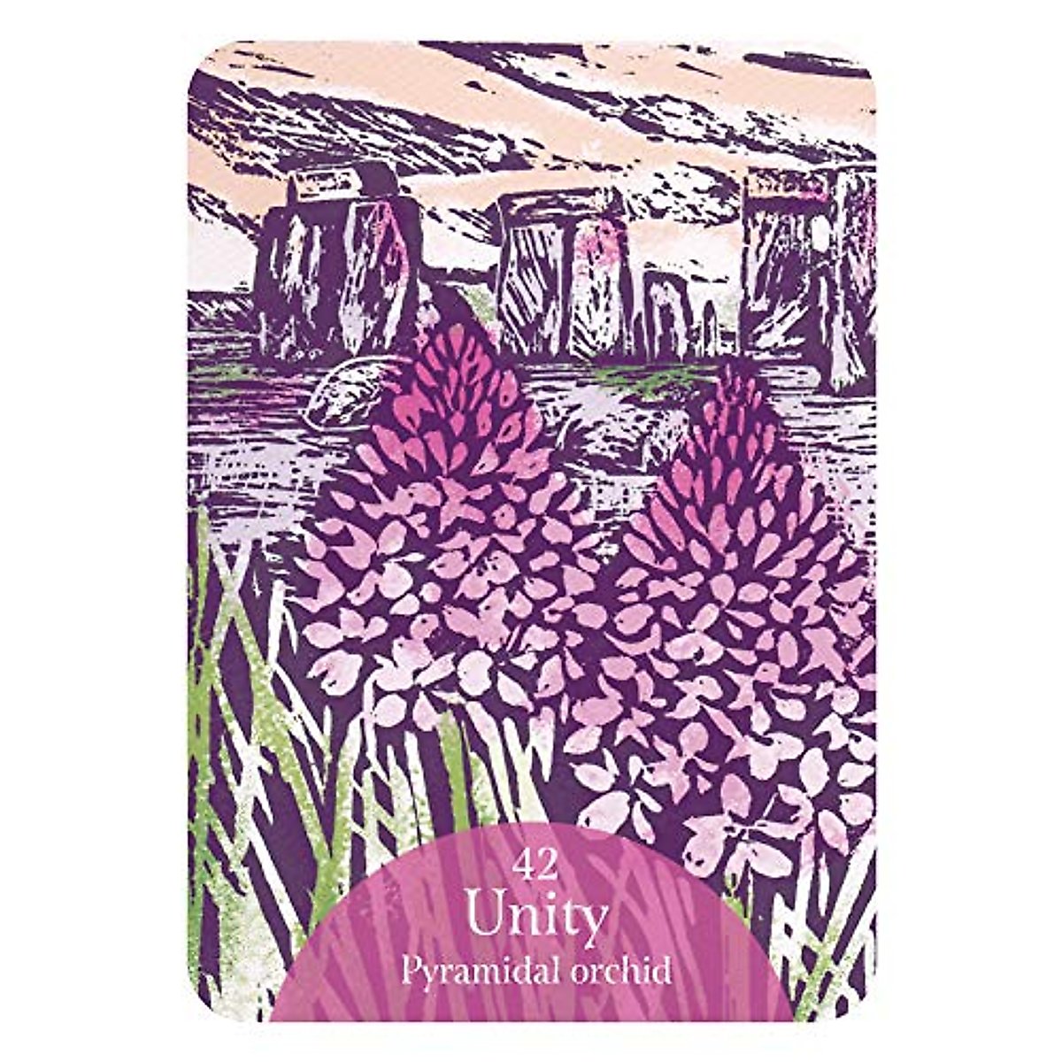 The Language of Flowers Oracle: Sacred botanical guidance and support (44 Full-Color Cards and 144-Page Guidebook) (Rockpool Oracle Card Series)