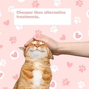 LifeLink's Zobaline for Cats 3mg x 60 Tablets