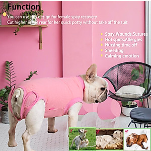 Wabdhally Dog Surgery Recovery Suit,Surgical Suit for Large Female Spay,Soft Combed Cotton,Watermelon Pink Striped Zipper Onesie XL