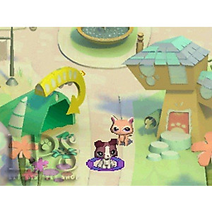 Littlest Pet Shop Friends: Beach - Nintendo DS (Renewed)