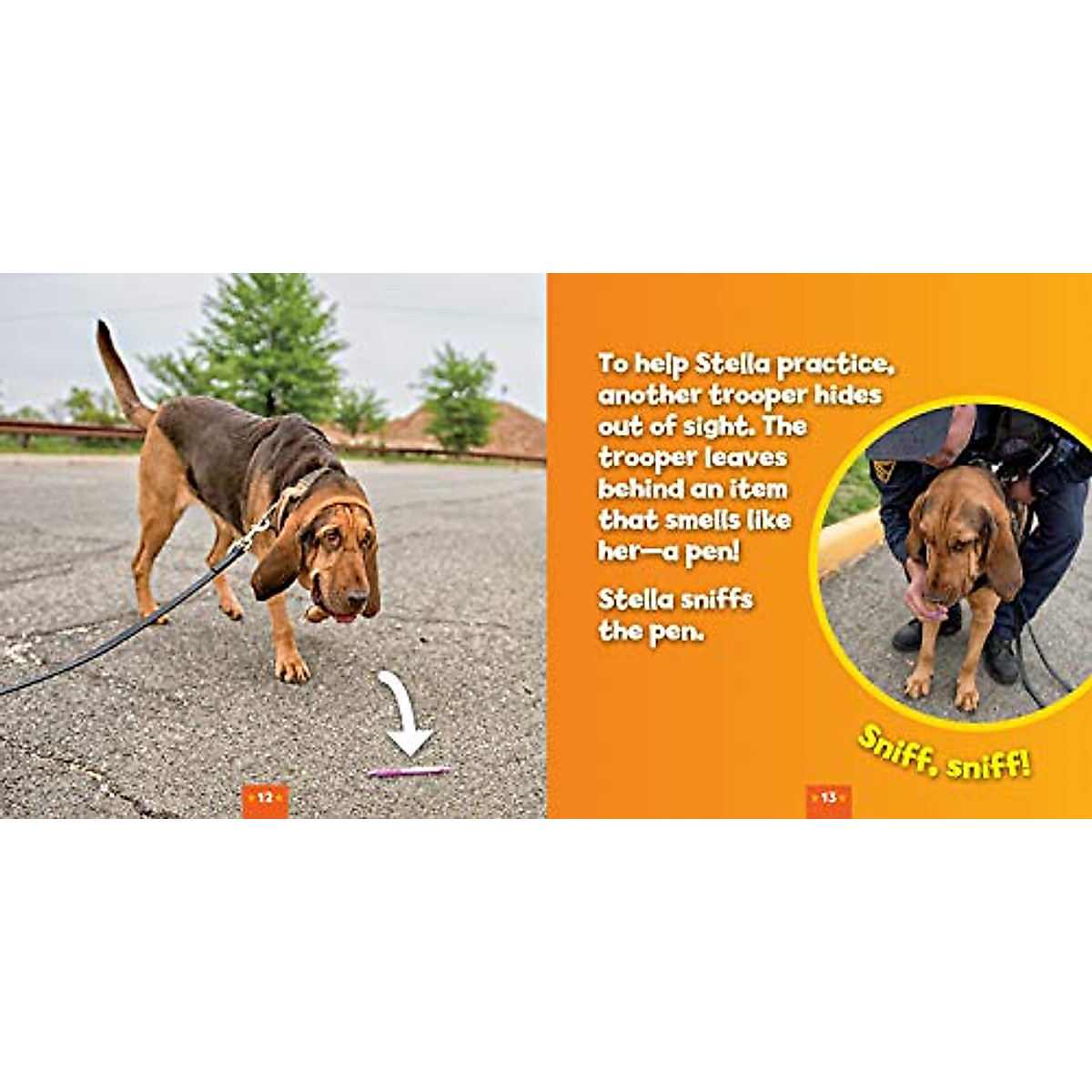 Doggy Defenders: Stella the Search Dog