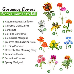 HOME GROWN 20 Flower Seeds Variety Pack - Individual Flowers Seeds for Planting | Flower Seeds Packs for Planting Outside & Indoors