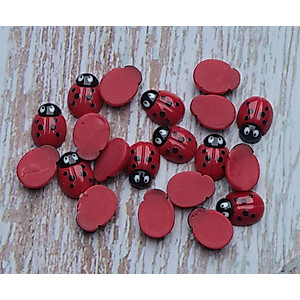 Sowaka 20 Pcs Ladybug Ornaments Tiny Resin Flatback Embellishment Fake Ladybird Decor for Hair Clip DIY Craft Art Project Home Garden Decoration Supplies Jewelry Making Scrapbooking (Small - Ladybug)