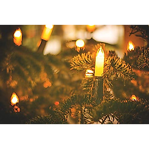 Flagicon Outdoor Indoor Lights, 200 Counts 72FT Waterproof Green Wire Warm White Connectable Decorative Lights for Holiday Tree Patio Garden Party Wedding, UL Certified